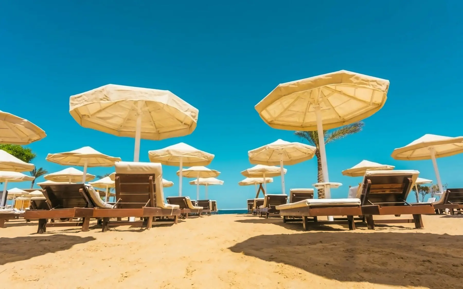 La Rosa Waves Beach - Couple & Families Only nuo 706 € - Kelionė į Hurgadą